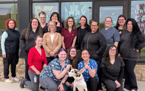 Best Vet Hospital In Madison, WI | Animal Center For Emergency And ...